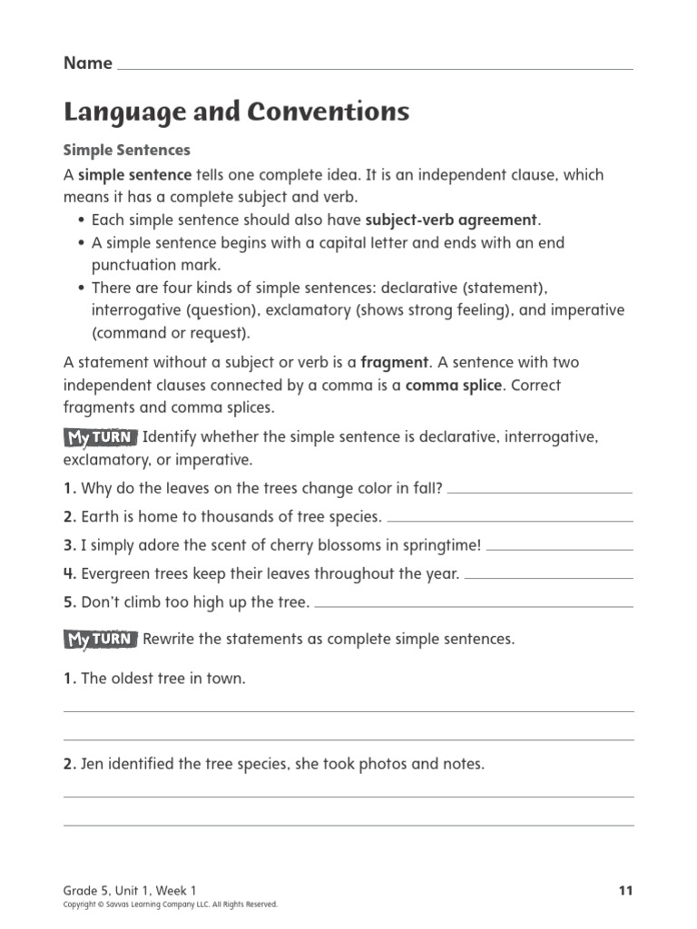 Language and Conventions Lessons Web | PDF