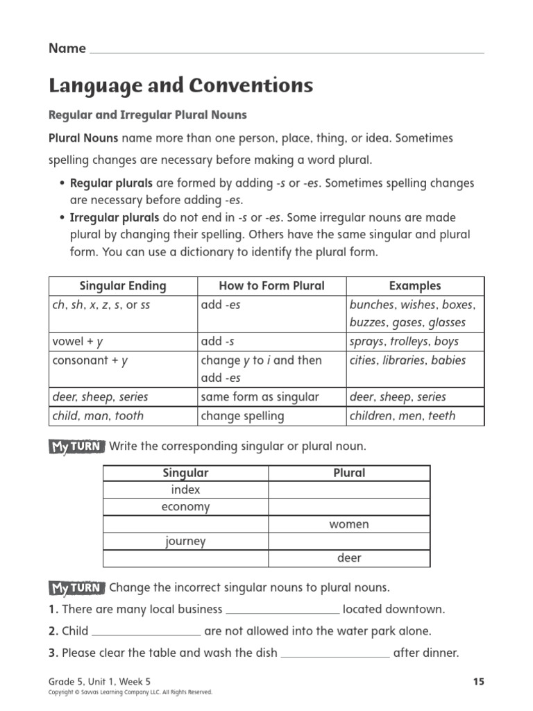 Language and Conventions Lessons Web | PDF