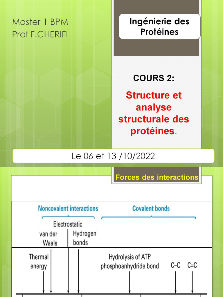 Cours2 IP Partie 1 Bases Structurales Des Protéines MR F.cherIFI 20-10 ...