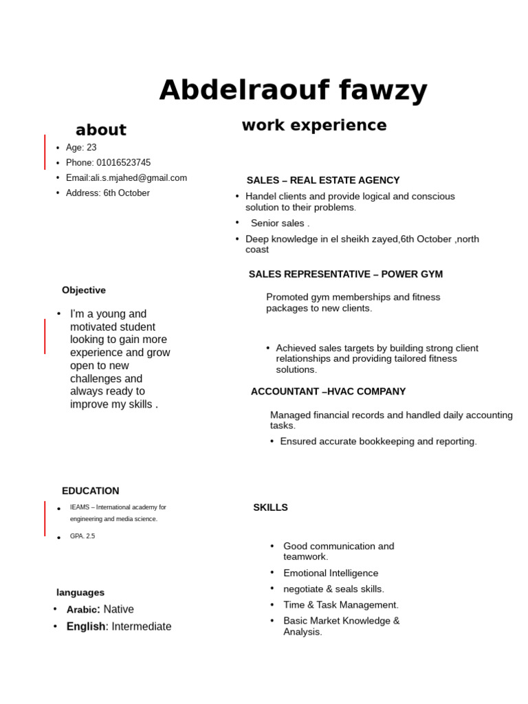 Young Sales Professional Profile | PDF
