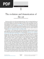 Wild Cat Family List by Lineage - Family | PDF | Felidae | Panthera