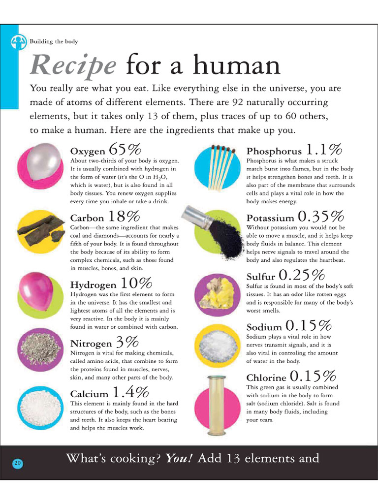 Recipe For A Human | PDF