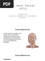 Anatomie du Labyrinthe Ethmoïdal | PDF | Système squelettique | Tête et ...