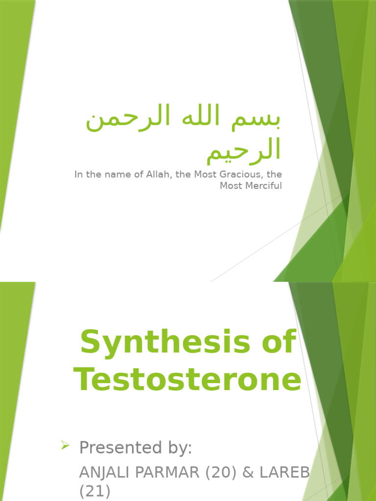 Testosterone Presentation 1 | PDF | Testosterone | Testicle