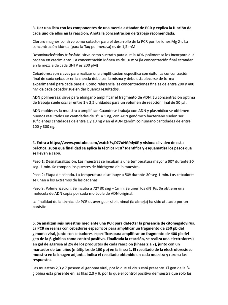 Componentes y Funciones en PCR | PDF | Reacción en cadena de la ...