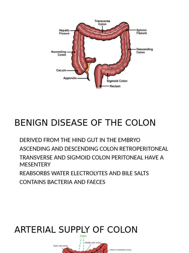 Benign Colon Diseases Overview | PDF | Large Intestine | Colonoscopy