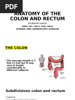 Sigmoid Colon Length and Anatomy | PDF | Large Intestine | Rectum