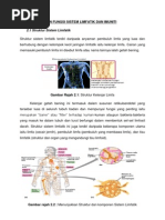 Histologi Organ Limfoid | PDF