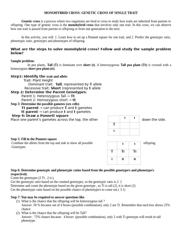Monohybrid Cross: Trait Inheritance Guide | PDF | Genotype | Dominance ...