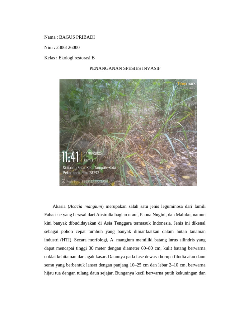 Penanganan Spesies Invasif Akasia dan Ilalang | PDF