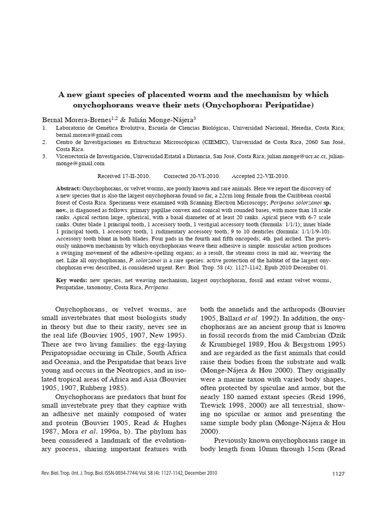 A New Giant Species of Placented Worm and The Mechanism by Which ...