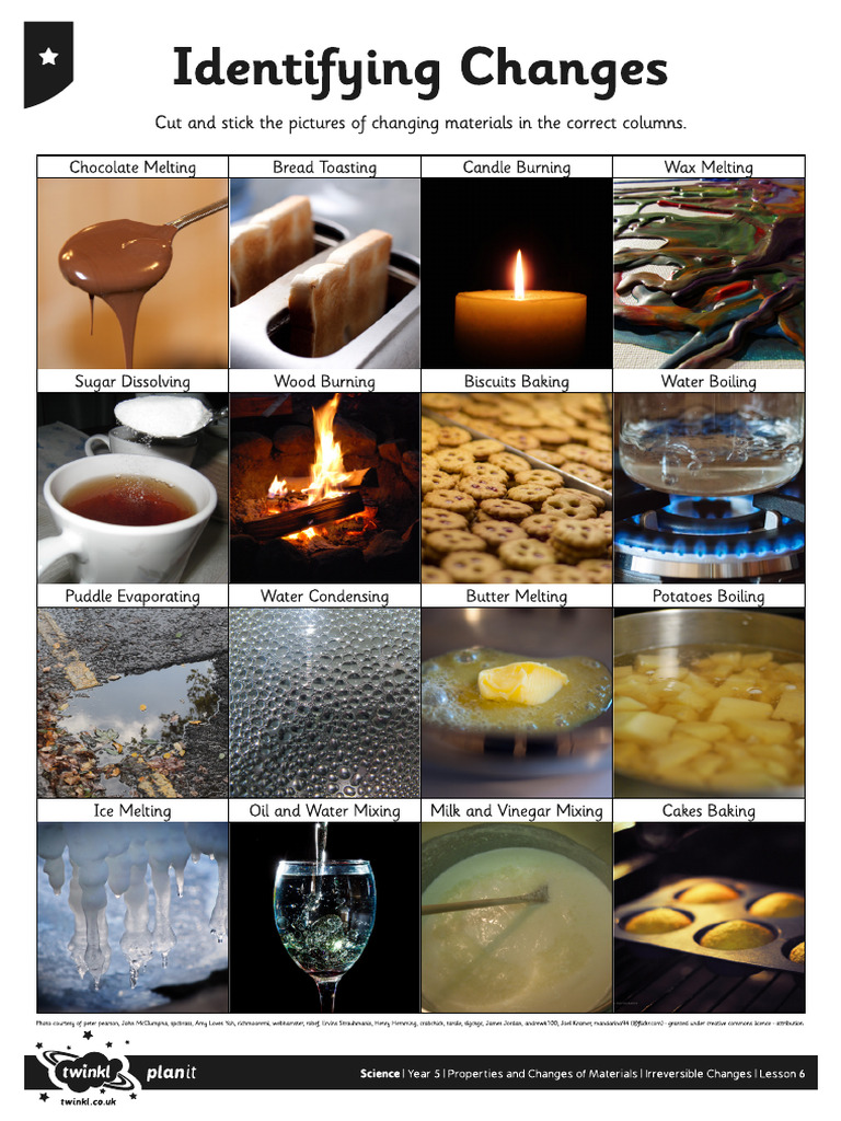 Reversible or Irreversible Activity Sheet Differentiated | PDF