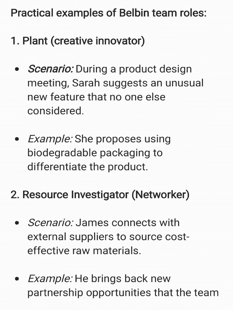 Belbin Team Roles Notes | PDF