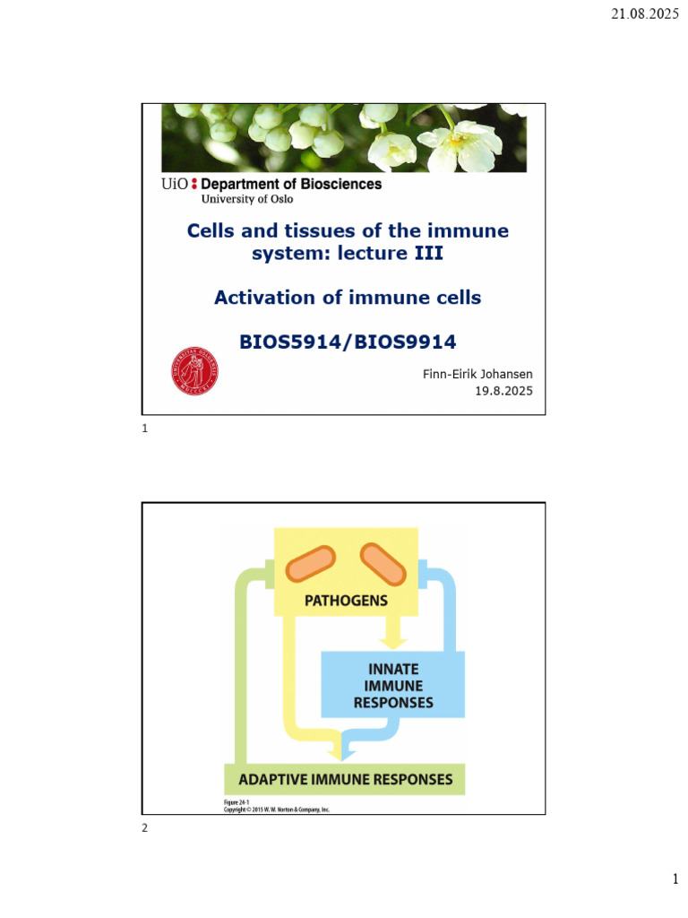 Immune System Activation Overview | PDF | Complement System | B Cell