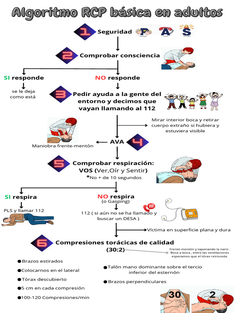 Algoritmo RCP Básica para Adultos | PDF | Reanimación cardiopulmonar ...