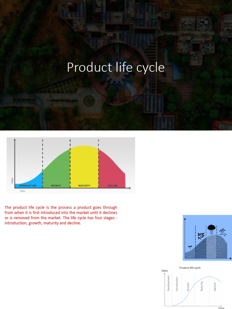 Understanding the Product Life Cycle | PDF