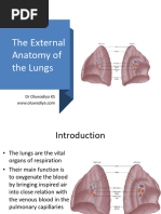 Lung Surface Anatomy Overview | PDF