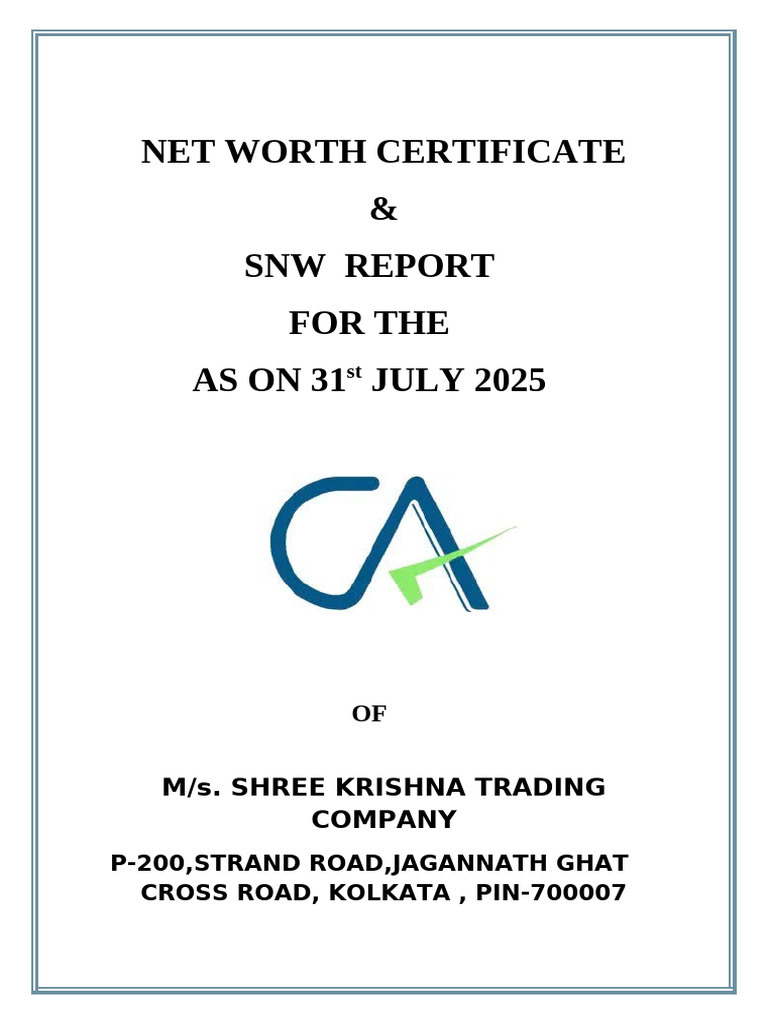 Cover Page of Net Worth and SNW | PDF