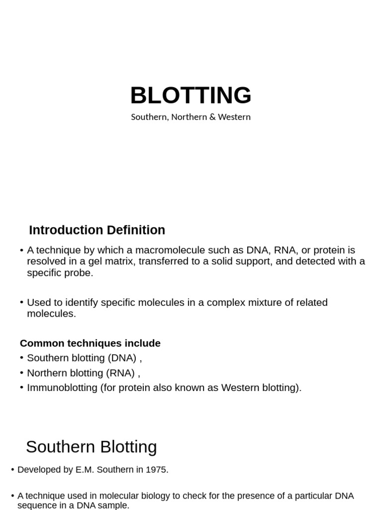 ANAT 316 (Blotting, PCR & DNA Sequencing) | PDF | Polymerase Chain ...