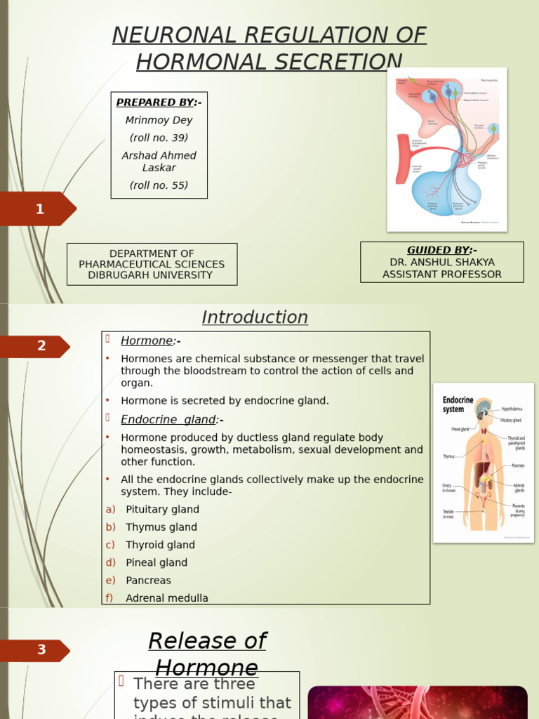Neuronal Regulation of Hormonal Secretion | PDF | Endocrine System ...
