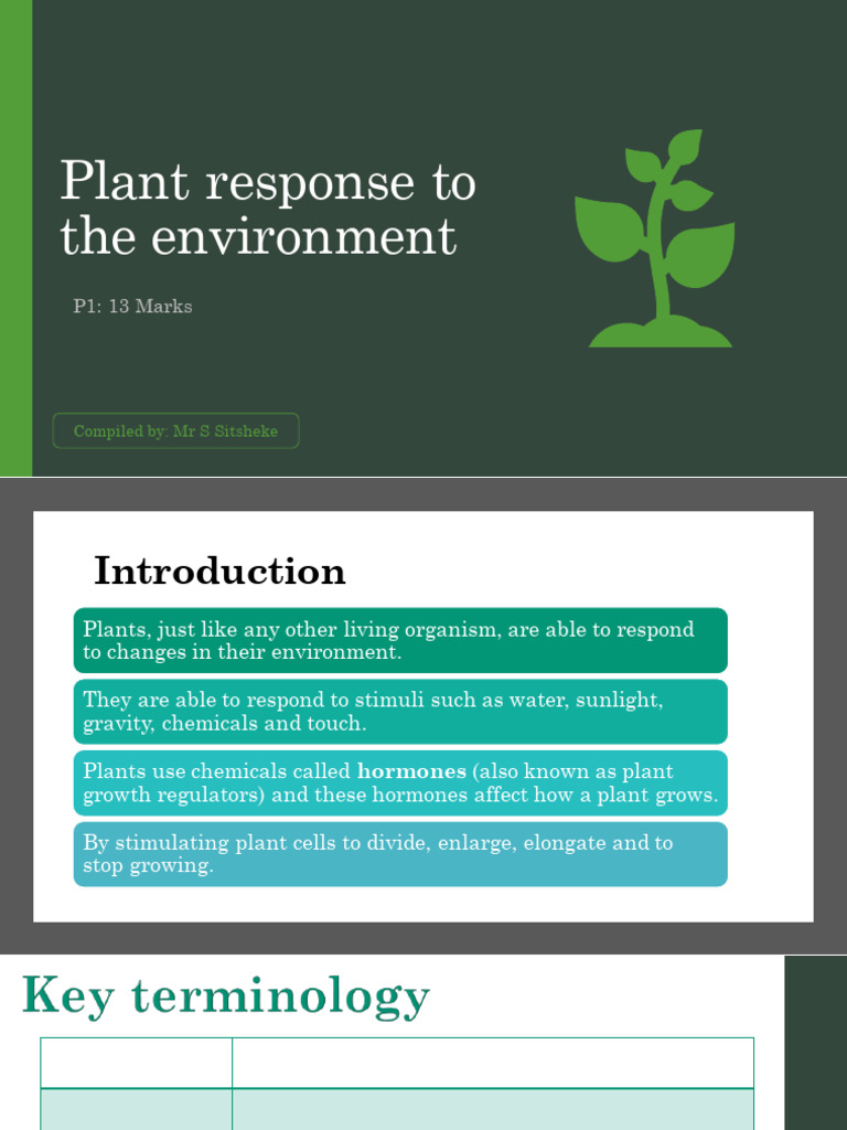 Plant Responses to Environmental Stimuli | PDF | Auxin | Plant Hormone