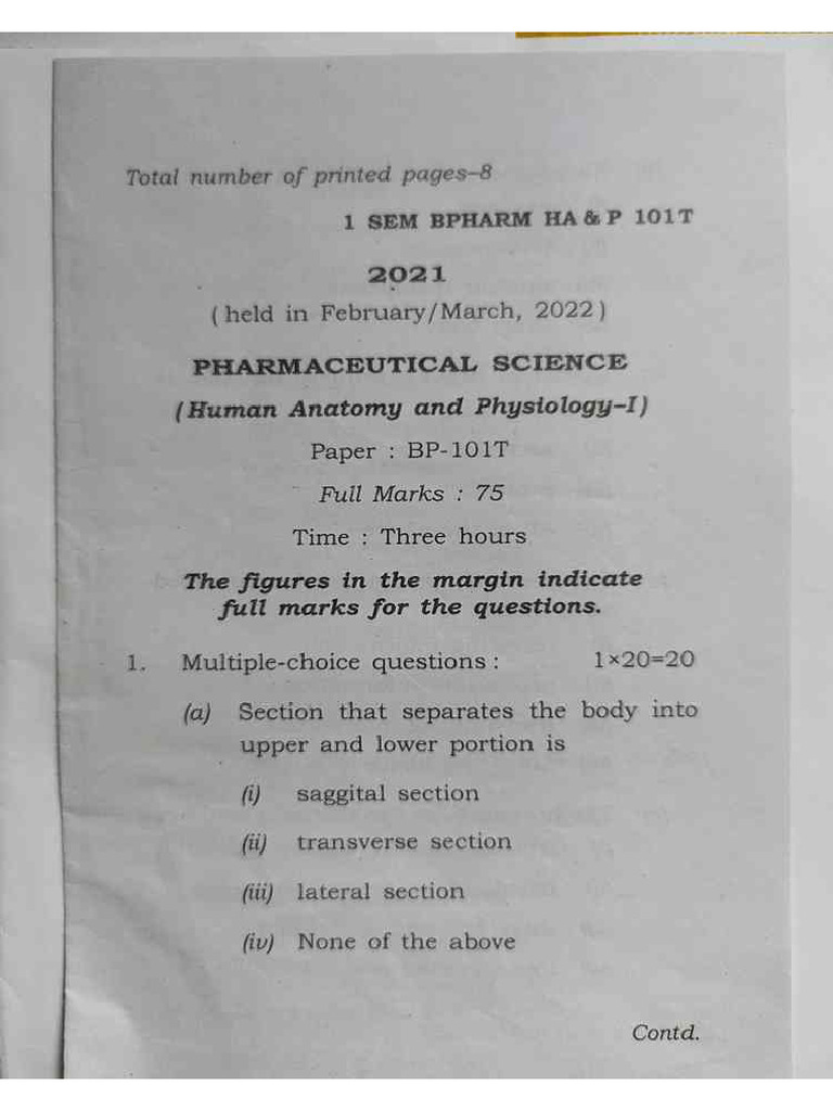 Final Exam Papers 1st Sem | PDF