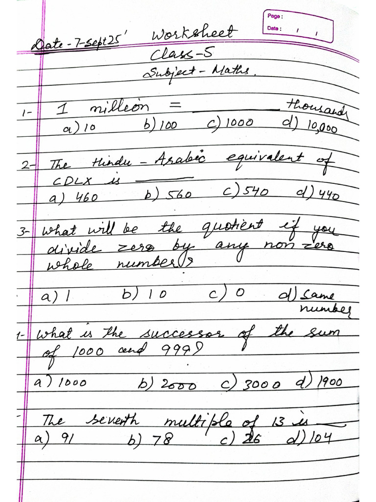 Class 5 Worksheet | PDF