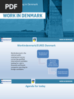 SIRI Appointment Booking Guide | PDF | Salary | Denmark