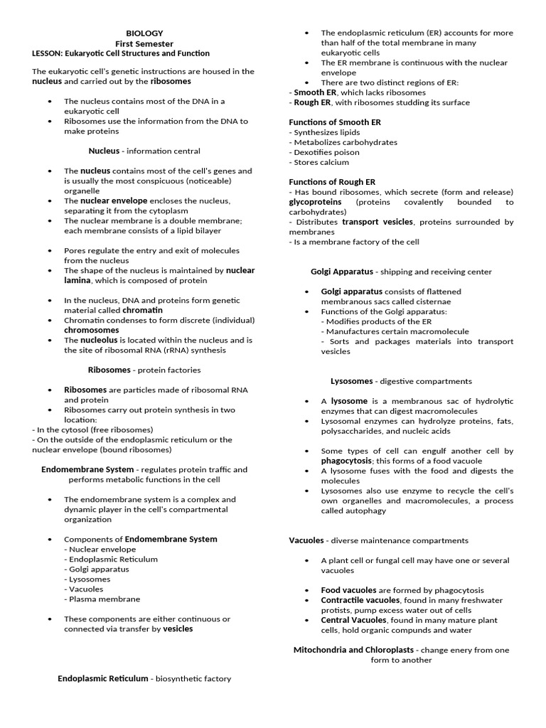 BIOLOGY First Semester - Eukaryotic Cell Structure and Function | PDF ...