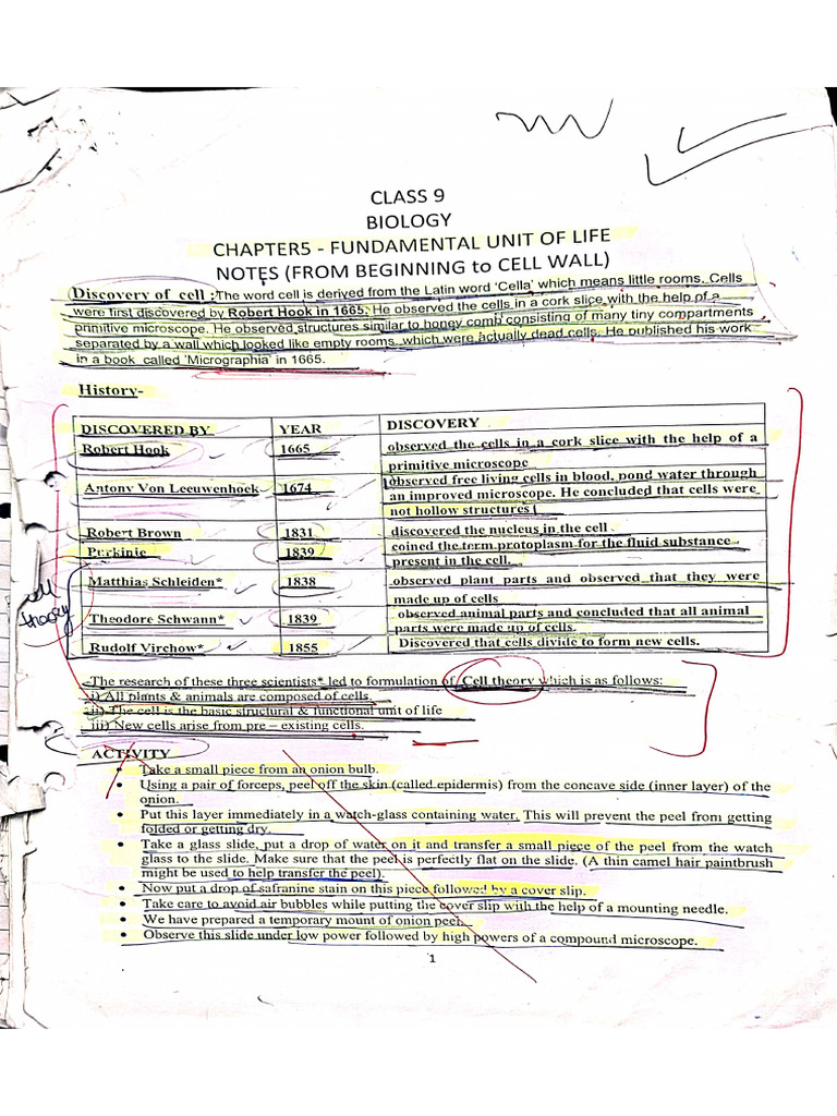 Class 9 Bio CH 5 Fundamental Umit of Life DPS MRD NOTES | PDF