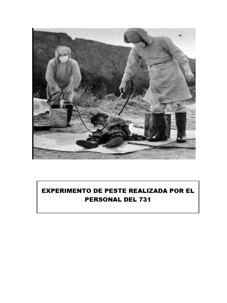 Imágenes del Escuadrón 731 | PDF