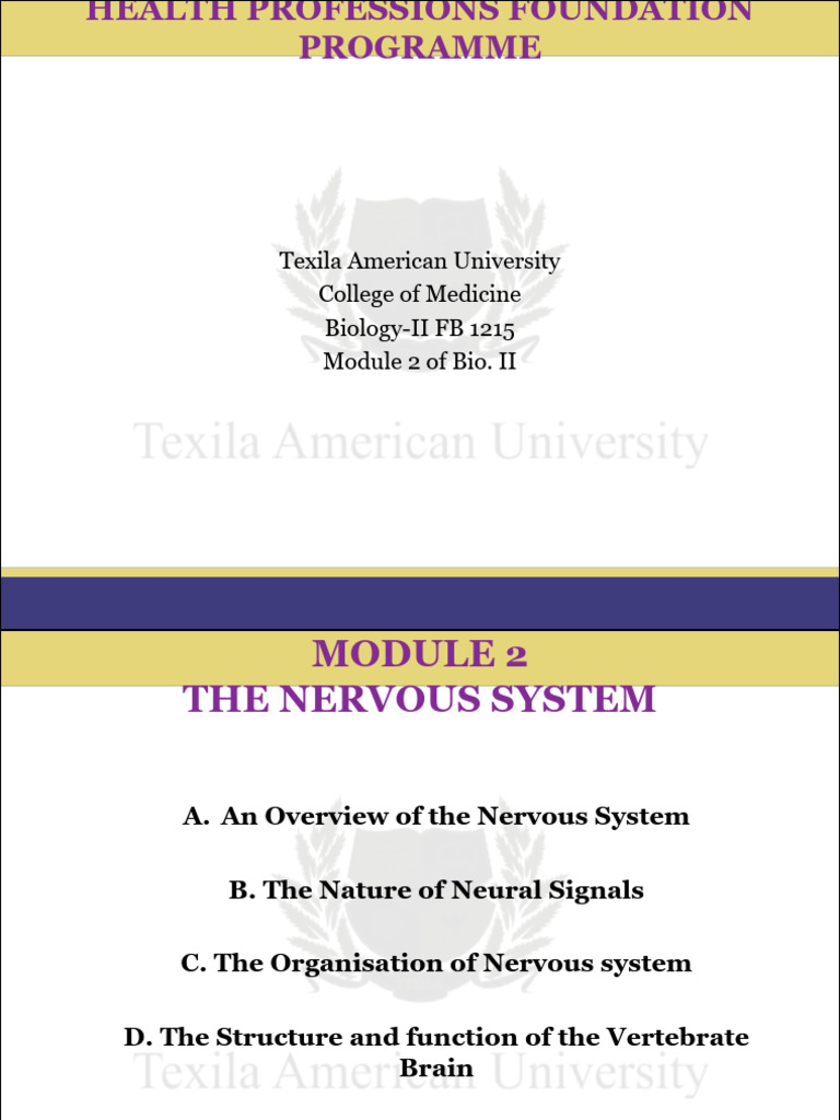 Bio. II Module 2 Template For Presentation (10.2018) | PDF | Nervous ...