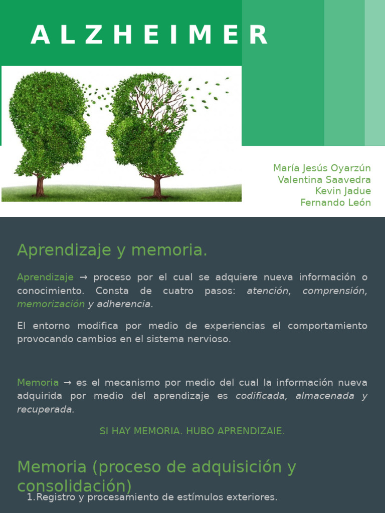 Alzheimer: Aprendizaje, Memoria y Tratamientos | PDF | Enfermedad de ...