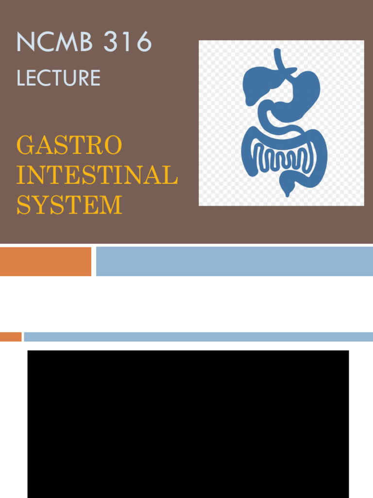 WEEK 1. GI System Review Dxtic Tests | PDF | Stomach | Gastrointestinal ...