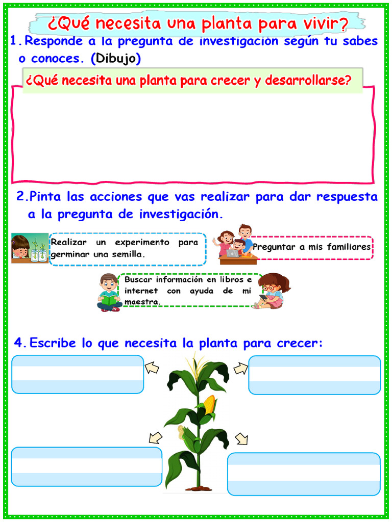 Ficha ¿Qué Necesita Una Planta para Vivir-Maestra Janet | PDF