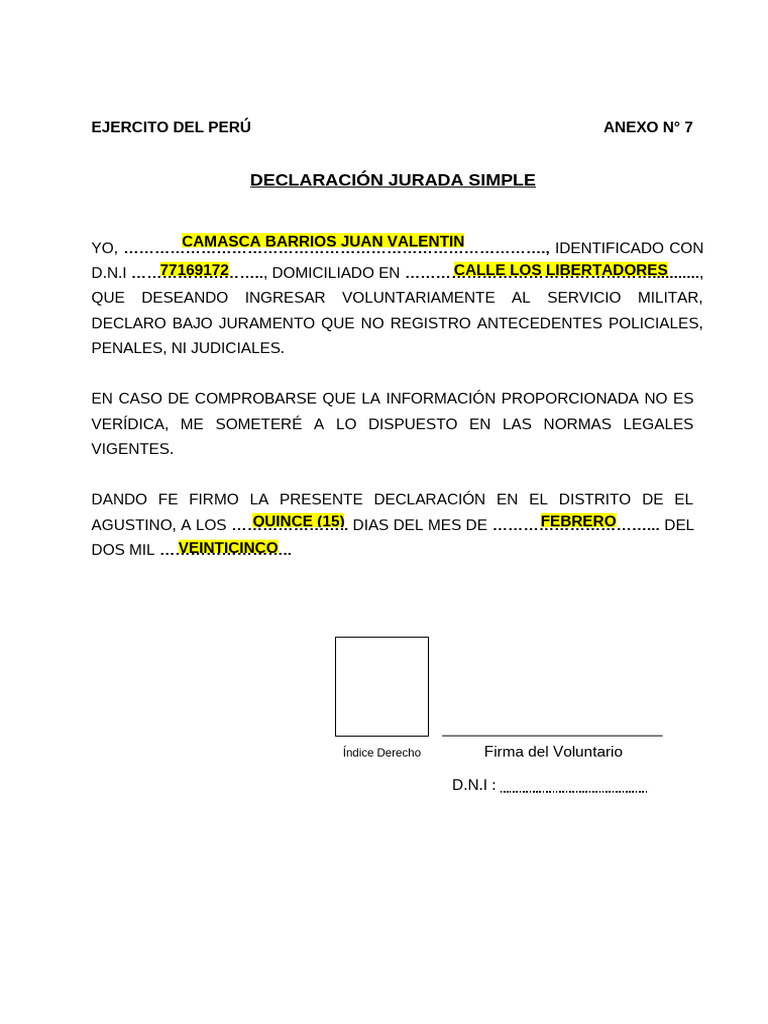 07 Declaracion Jurada Simple Anexo #07 | PDF