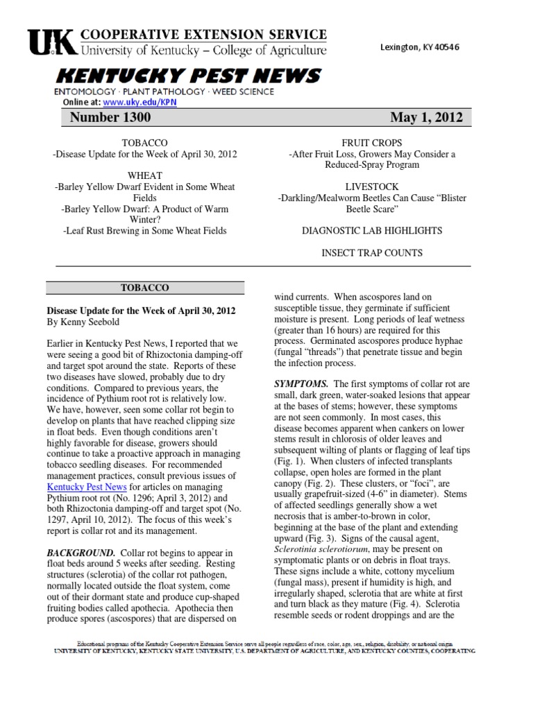 Kentucky Pest News, May 1, 2012 | PDF | Wheat | Botany