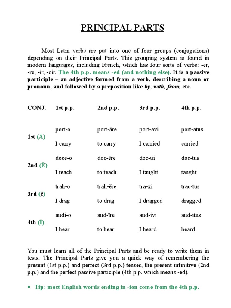 Latin Grammar | PDF | Grammatical Gender | Grammatical Number