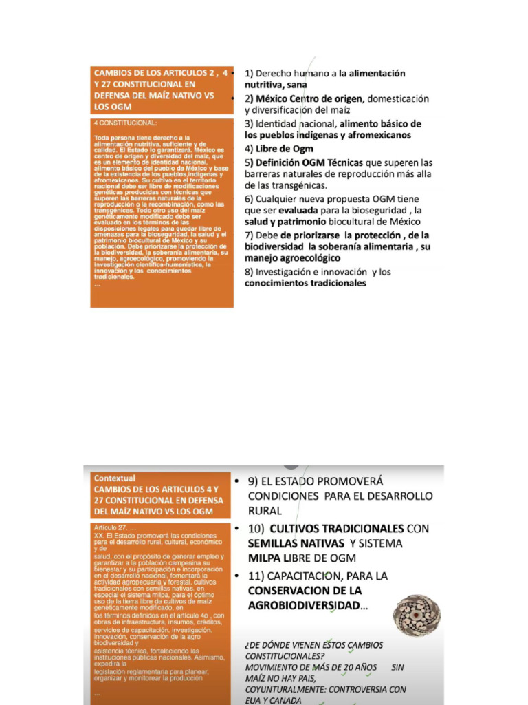 Sobre La Importancia de La Bioculturalidad, Prácticas y Artículos ...