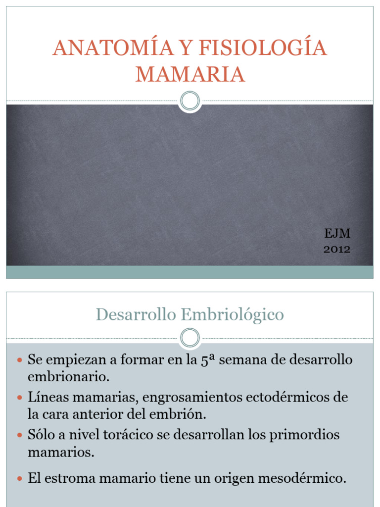 1 MAMA Anatom ¡A 2012 | PDF | Pecho | Lactancia