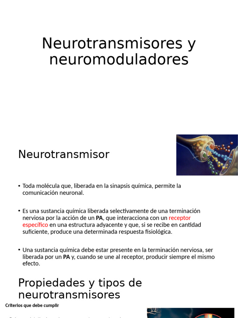 Neurotransmisores: Funciones y Tipos | PDF | Sinapsis | Neurotransmisor