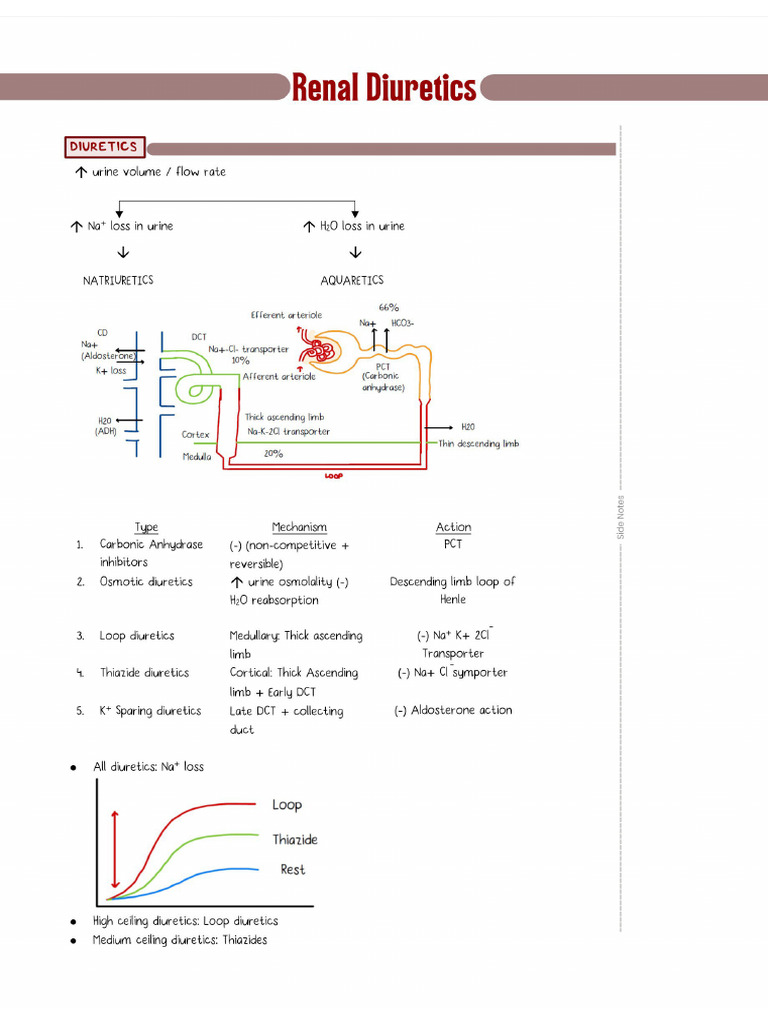 Diuretics | PDF