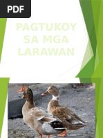 Pag Aalaga NG Itik | PDF