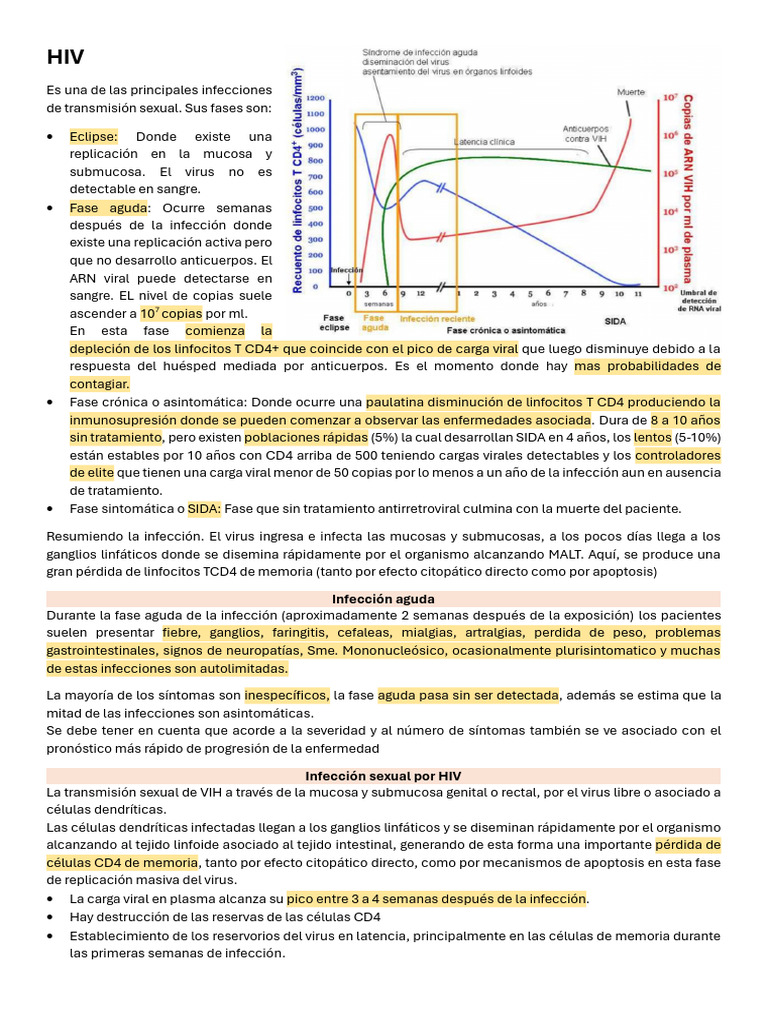 Fases y Tratamiento del VIH/SIDA | PDF | VIH | Virus