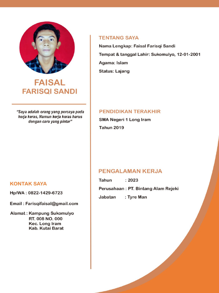 CV Faisal | PDF