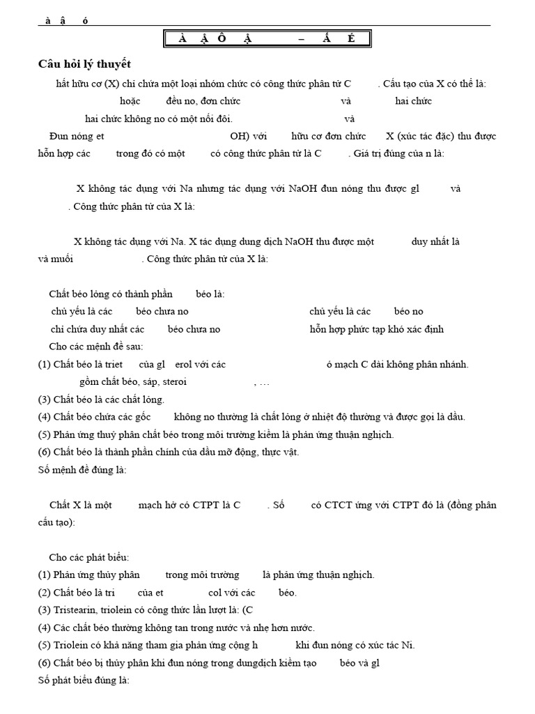 Bai Tap On Tap Este Chat Beo Gui HS | PDF