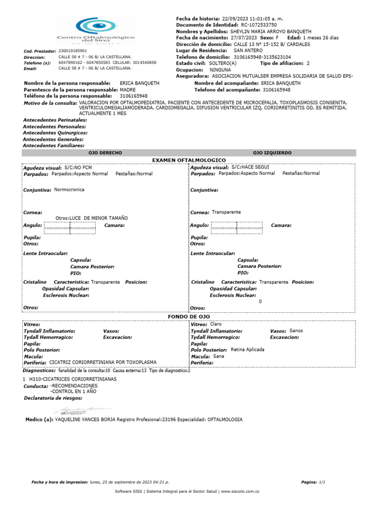 HC Sheylin Maria Arroyo Banqueth | PDF | Órganos sensoriales | Rasgos ...