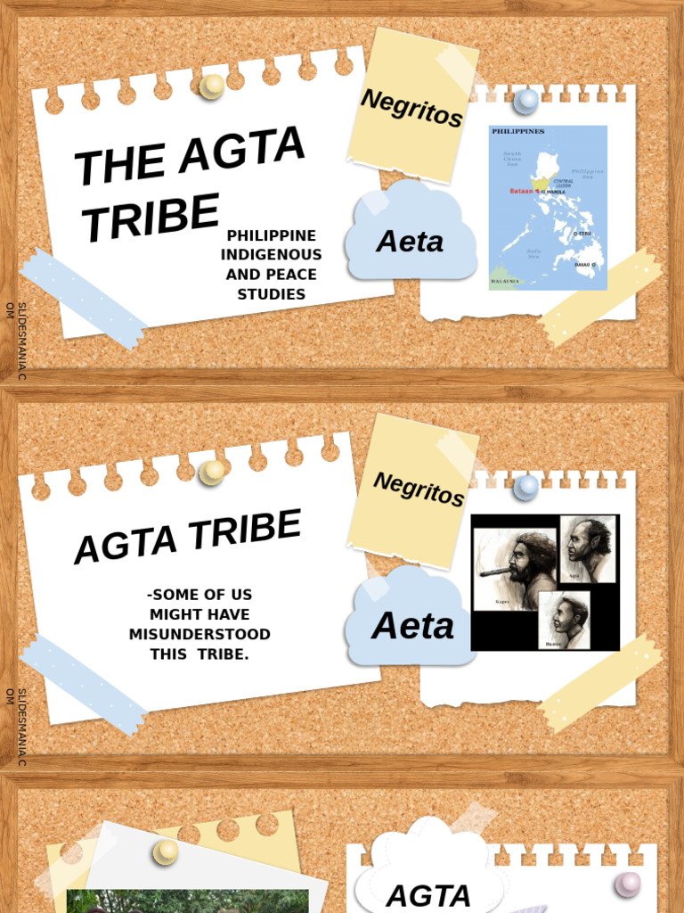 THE AGTA TRIBE | PDF