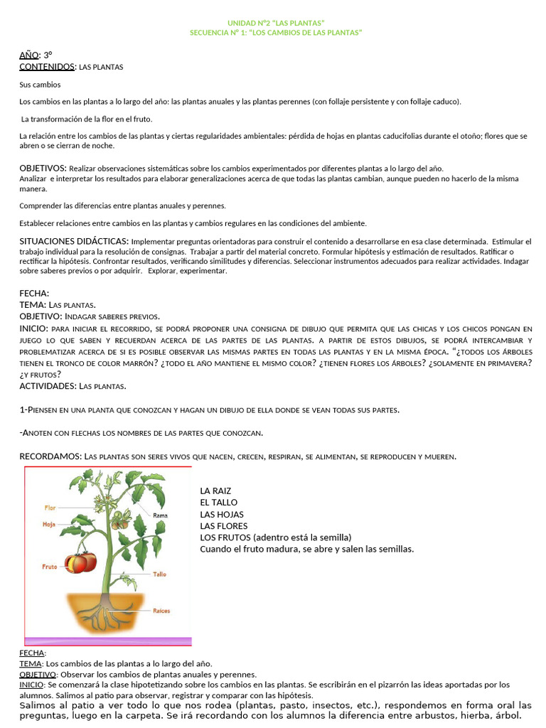 Cambios en las Plantas: Anuales y Perennes | PDF | Plantas | Hoja