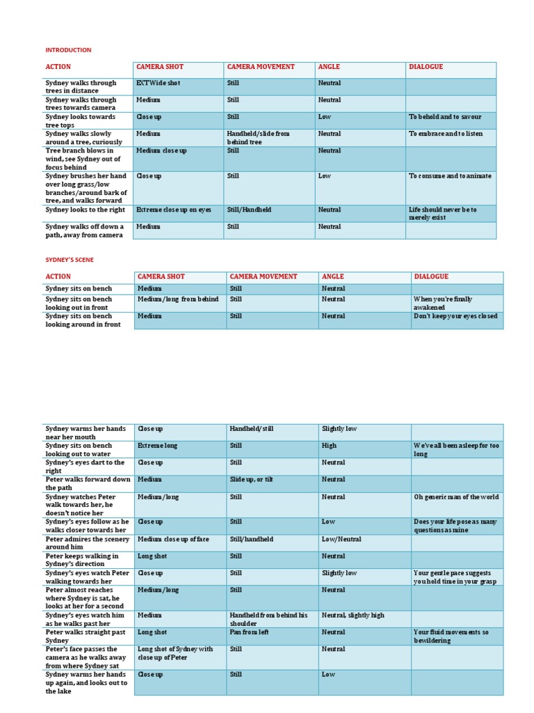 Action Camera Shot Camera Movement Angle Dialogue | PDF | Camera